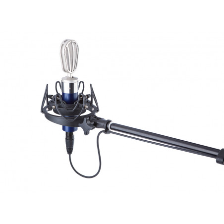 Schoeps V4, Studio Vocal Microphone